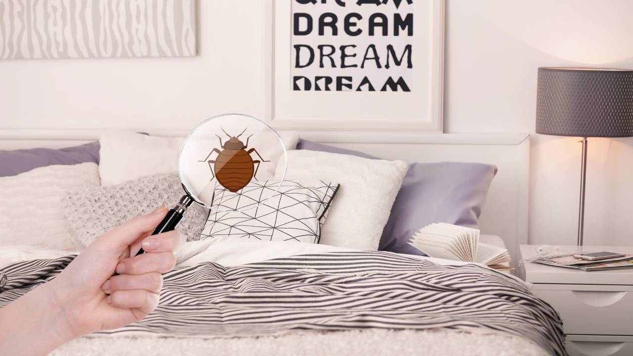 Hybrid Pest Control in Midvale, Salt Lake City, Utah